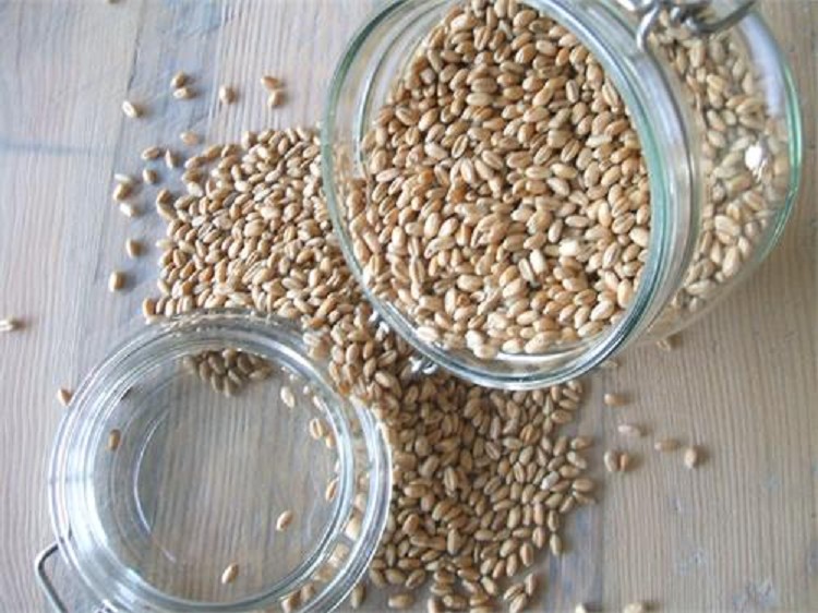 Tarwe - De Zuidmolen